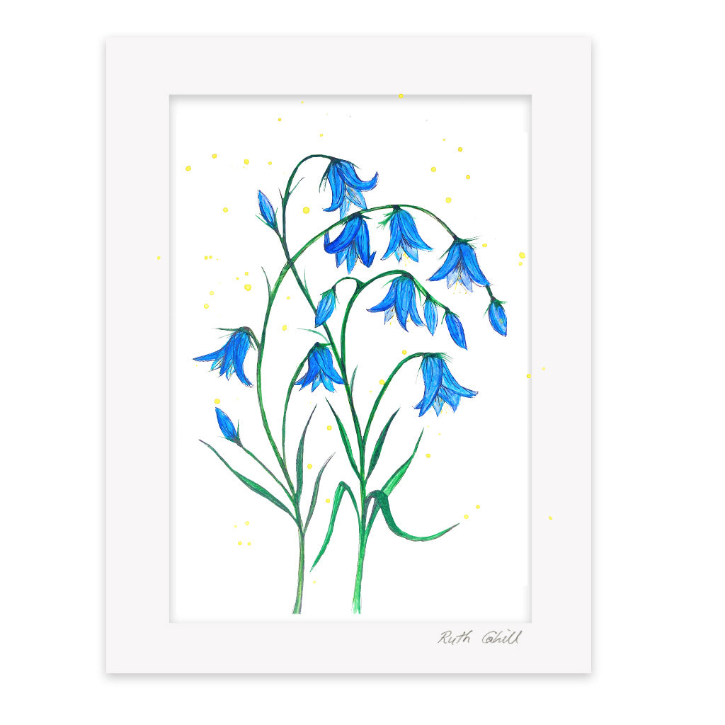 Bluebells Print – Duck Blue